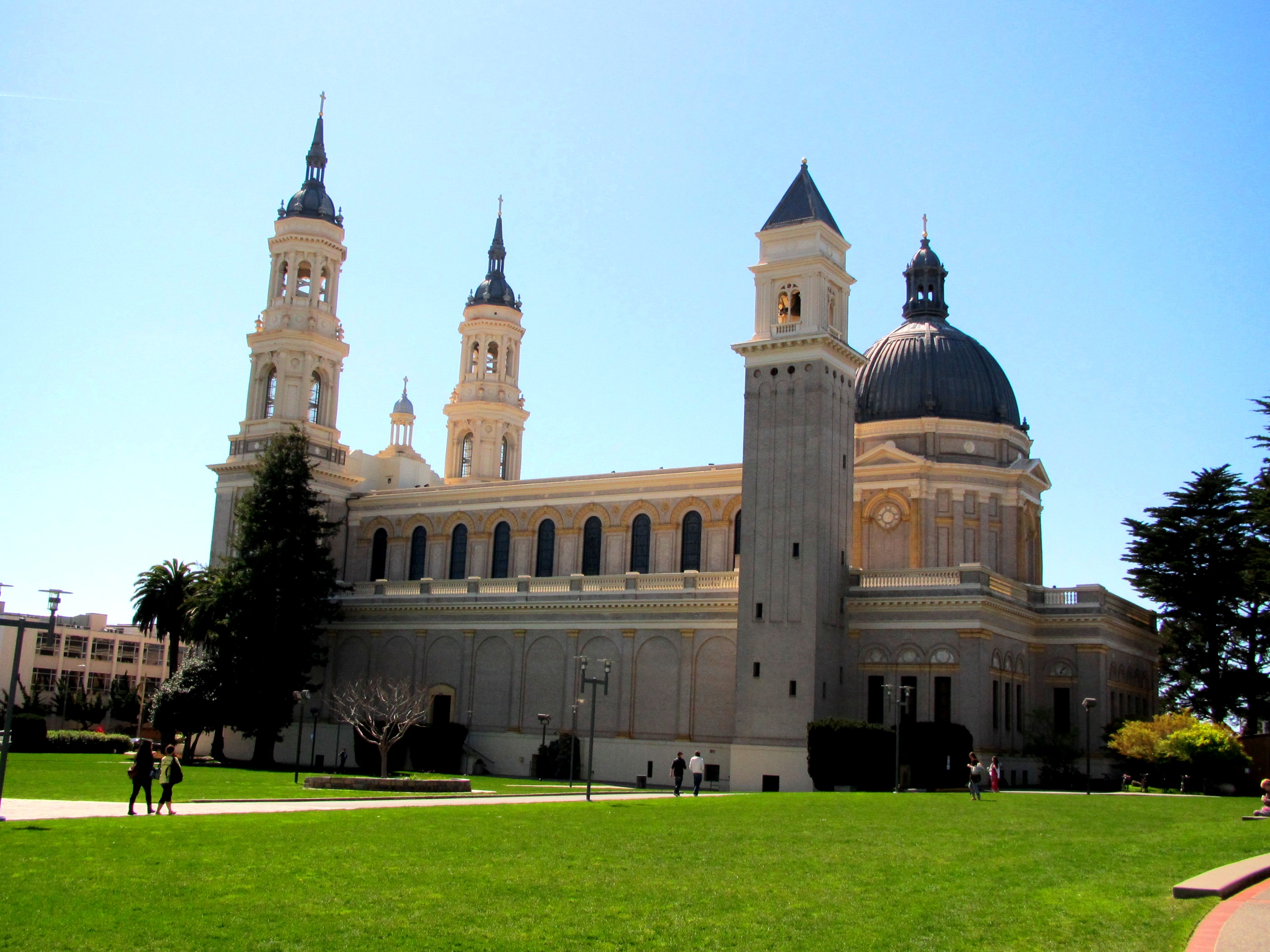 SF Colleges For International Students DoMyEssay Blog